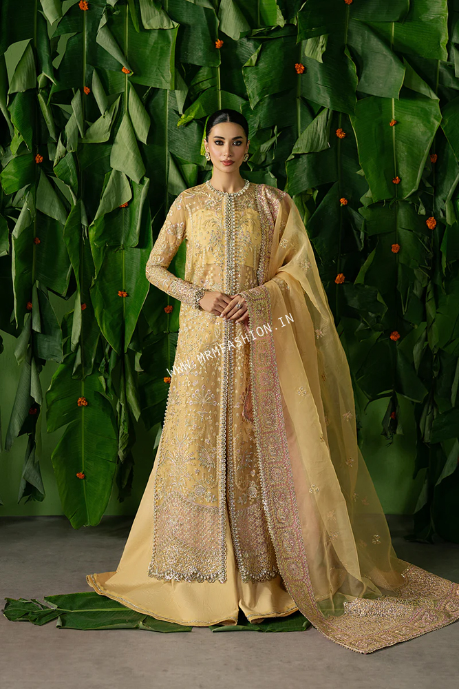 Pehli Nazar Festive Formals By Ayzel 2025 | Chahat